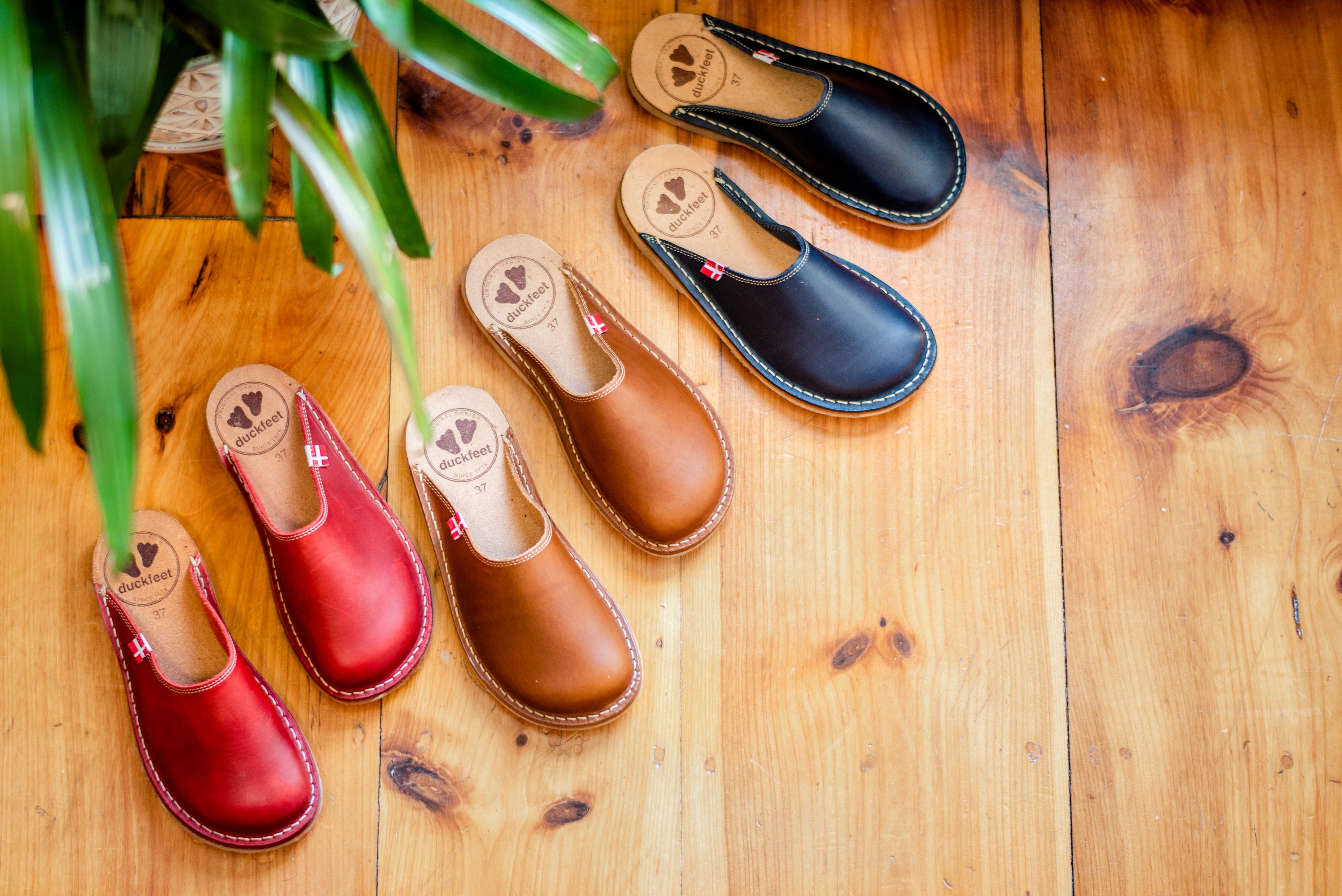 Duckfeet USA